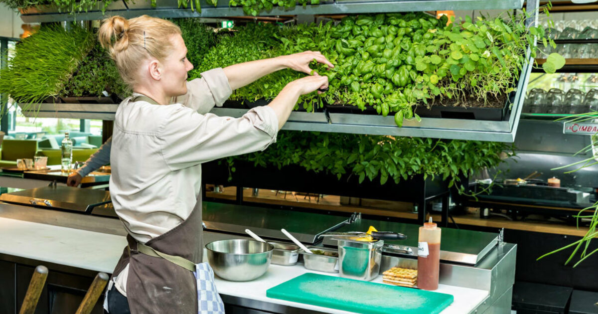 Dag van de Duurzaamheid: wat kun jij doen als ondernemer? | KHN