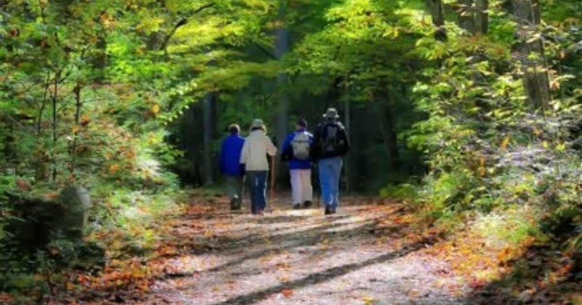 Hotels in Drenthe opgelet! Benut de potentie van je bedrijf,… | KHN